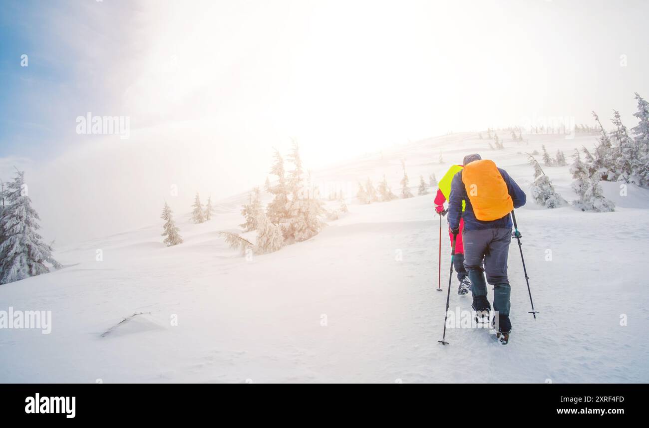 Walking path in snowy coniferous hi-res stock photography and images ...