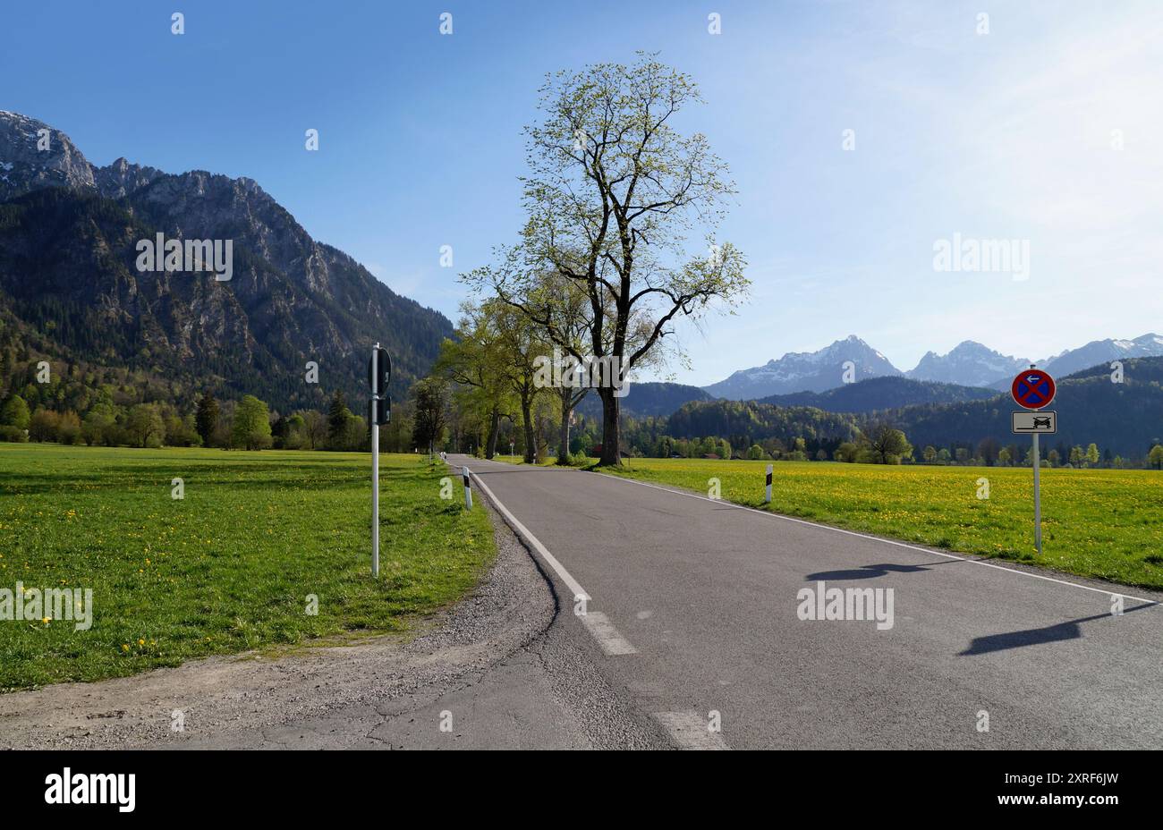 romantic road leading through the scenic, lush green alpine meadows in ...
