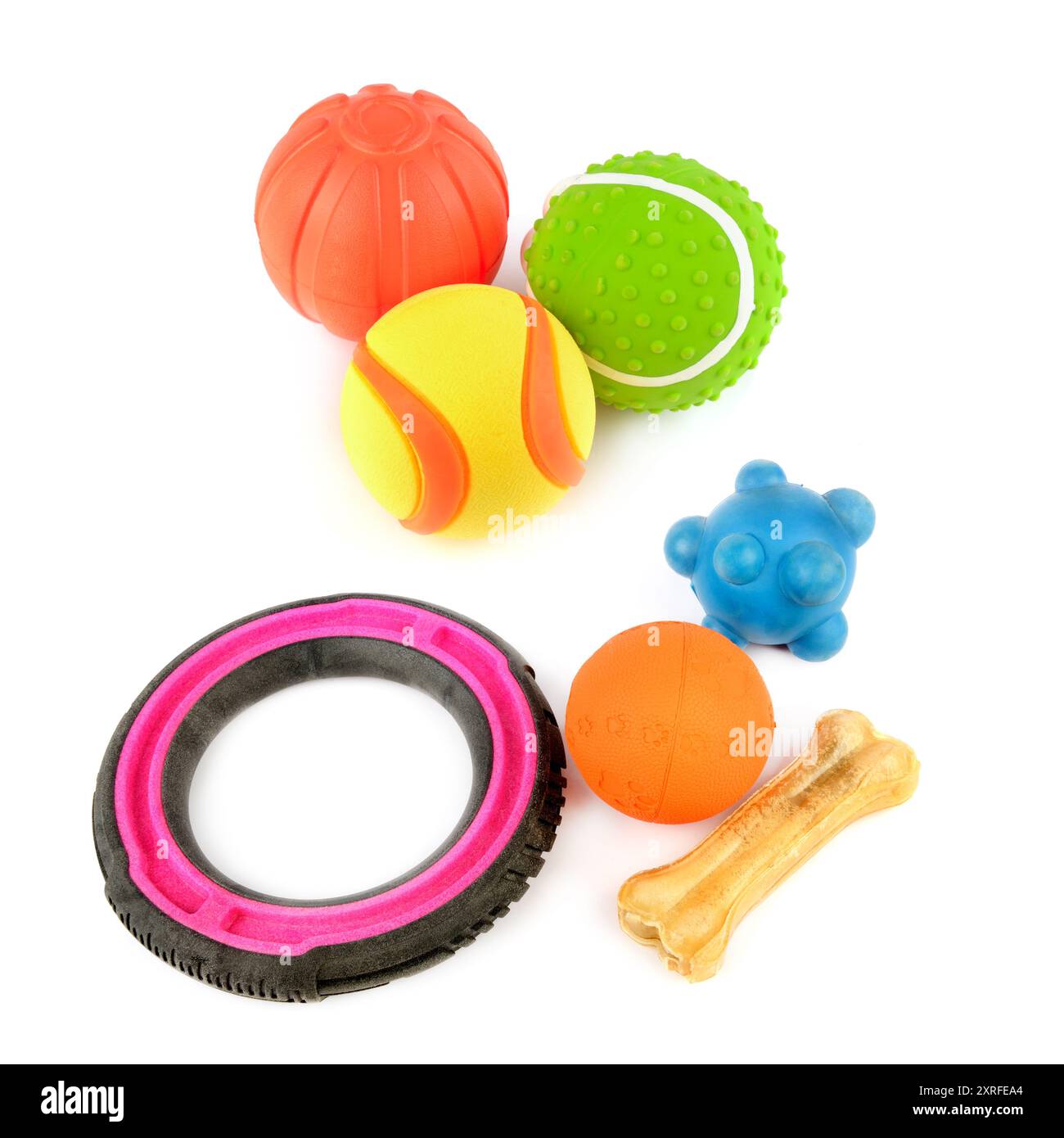 Set of toys for dogs isolated on a white background. Free space for ...