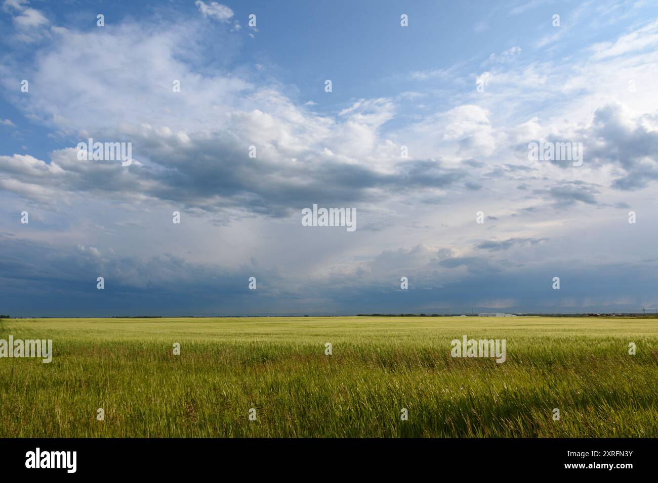Southern alberta landscape hi-res stock photography and images - Alamy