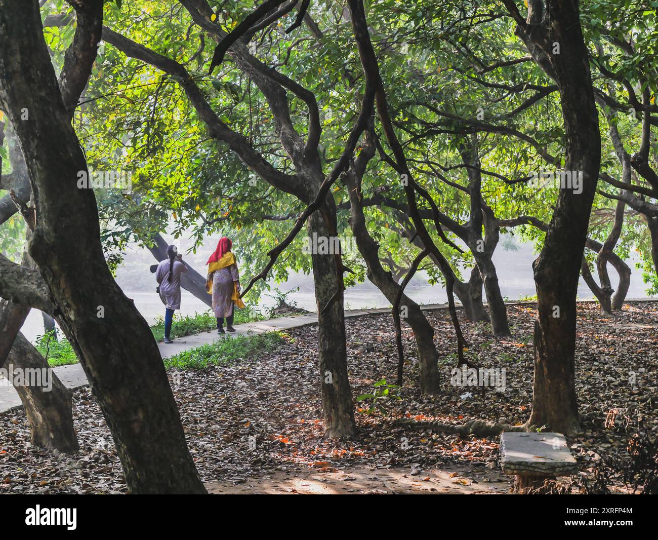 The National Botanic Garden of Bangladesh is the largest plant ...
