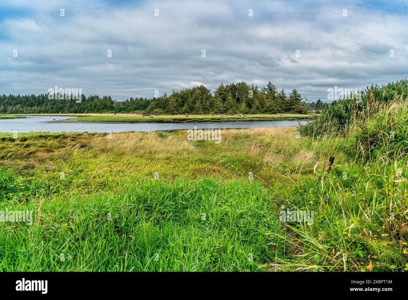 Copalis river hi-res stock photography and images - Alamy