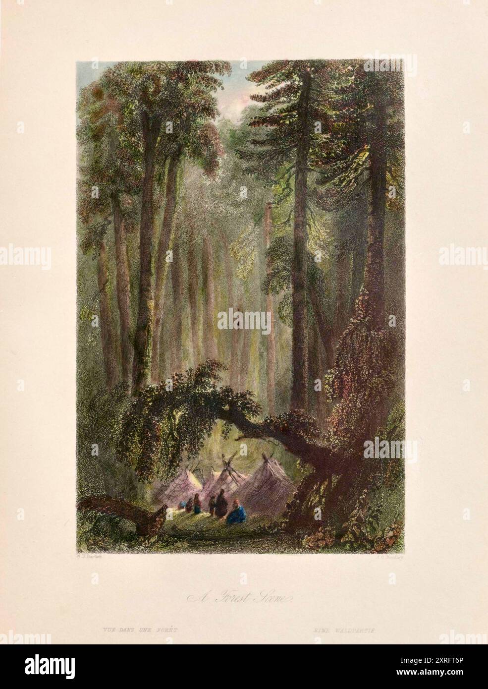 A Forest Scene, with Indigenous settlement. Vintage Lithography of ...