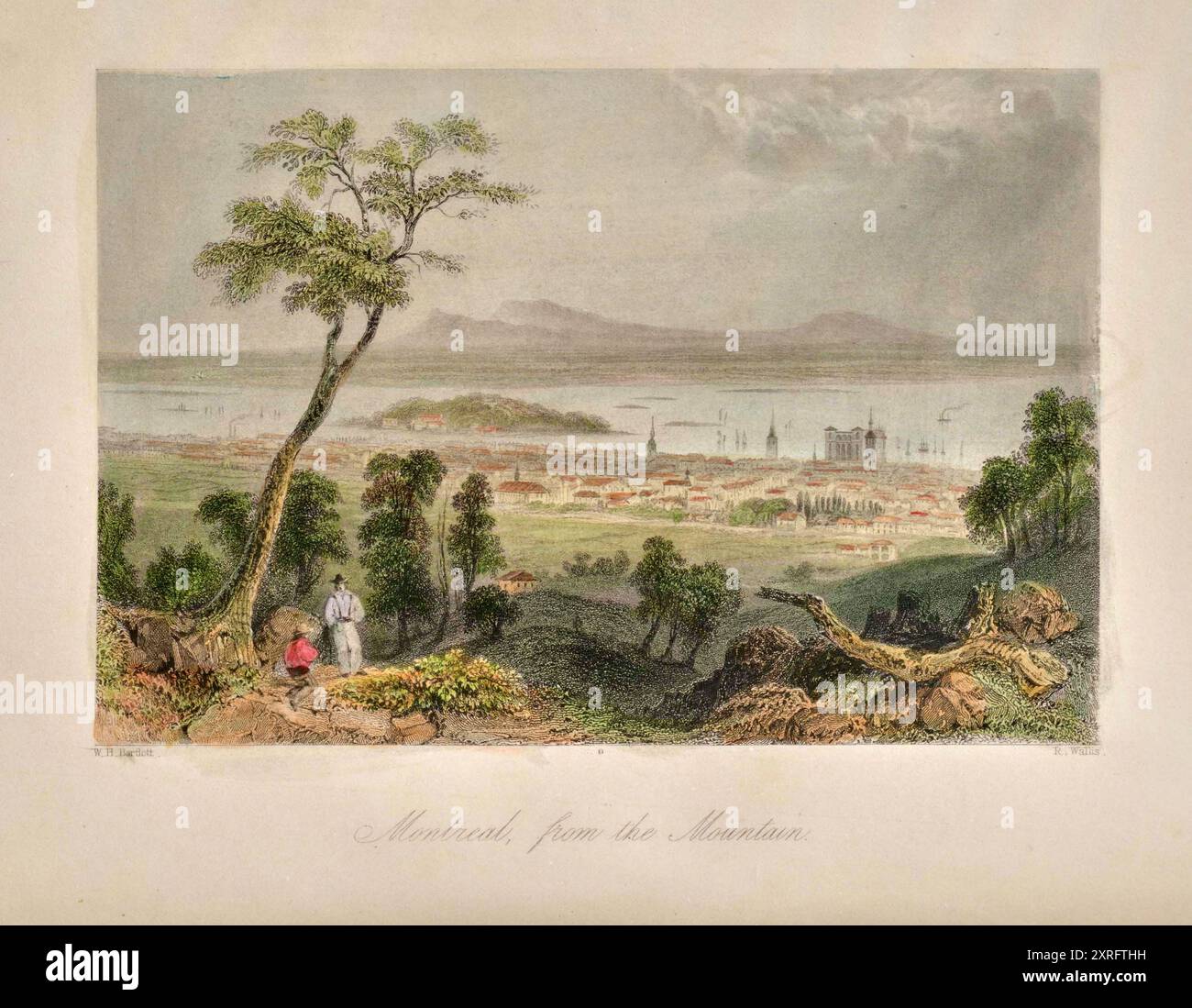 Montreal, viewed from the Mountain. Vintage Lithography of Canada ...