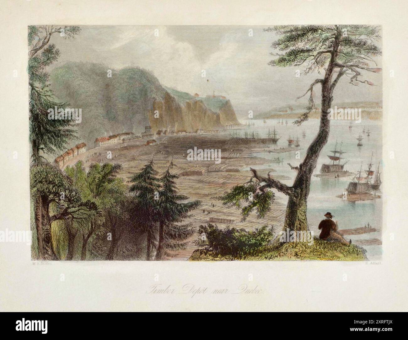 19th century logging hi-res stock photography and images - Alamy