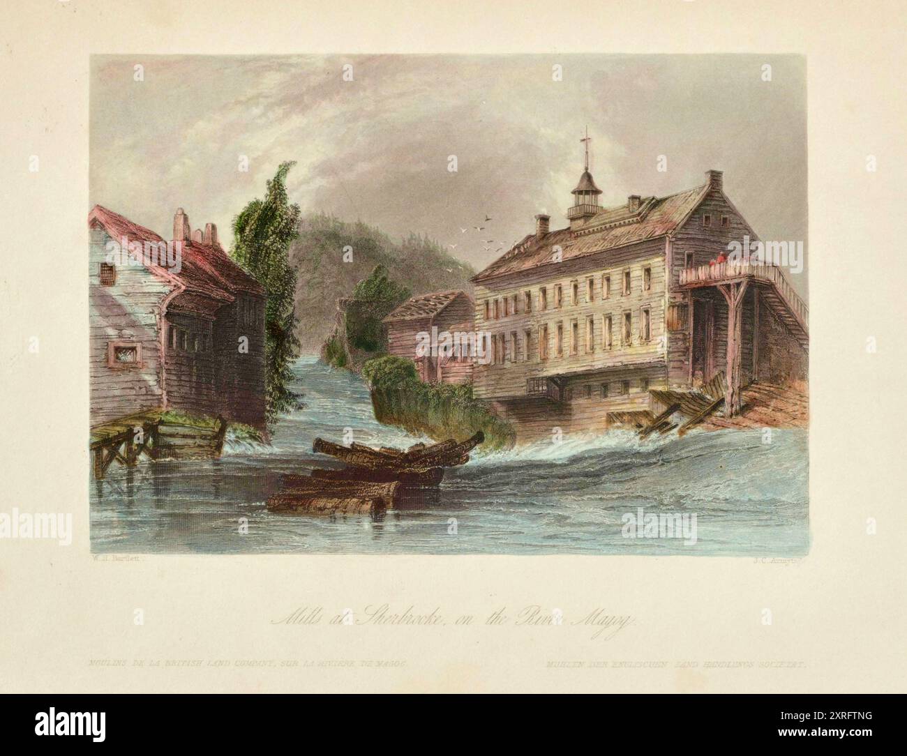 19th century logging hi-res stock photography and images - Alamy
