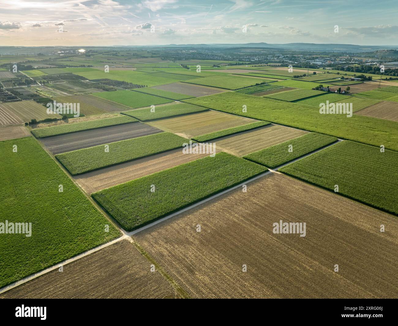 Cornfield plantation corn aerial view hi-res stock photography and ...