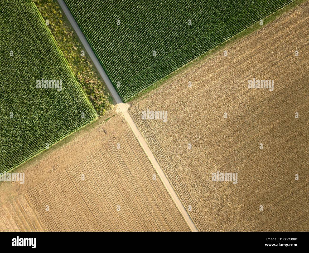 Corn field plantation aerial hi-res stock photography and images - Alamy
