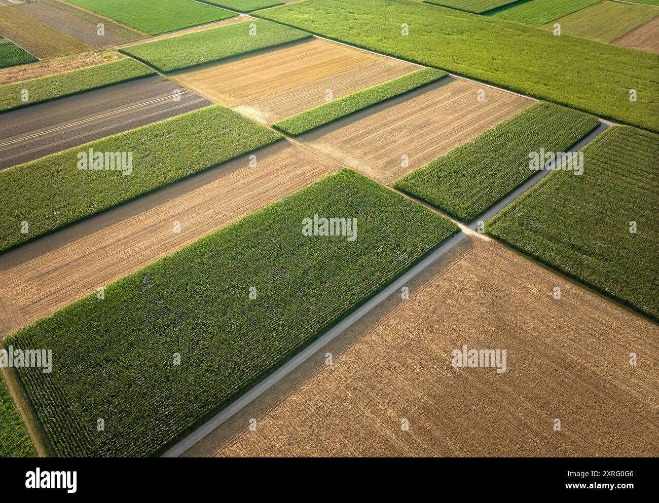 Aerial shot corn field hi-res stock photography and images - Alamy