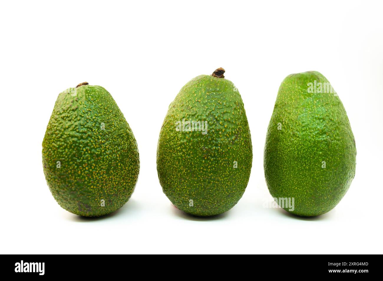 Three green avocados are lined up on a white background. The avocados ...