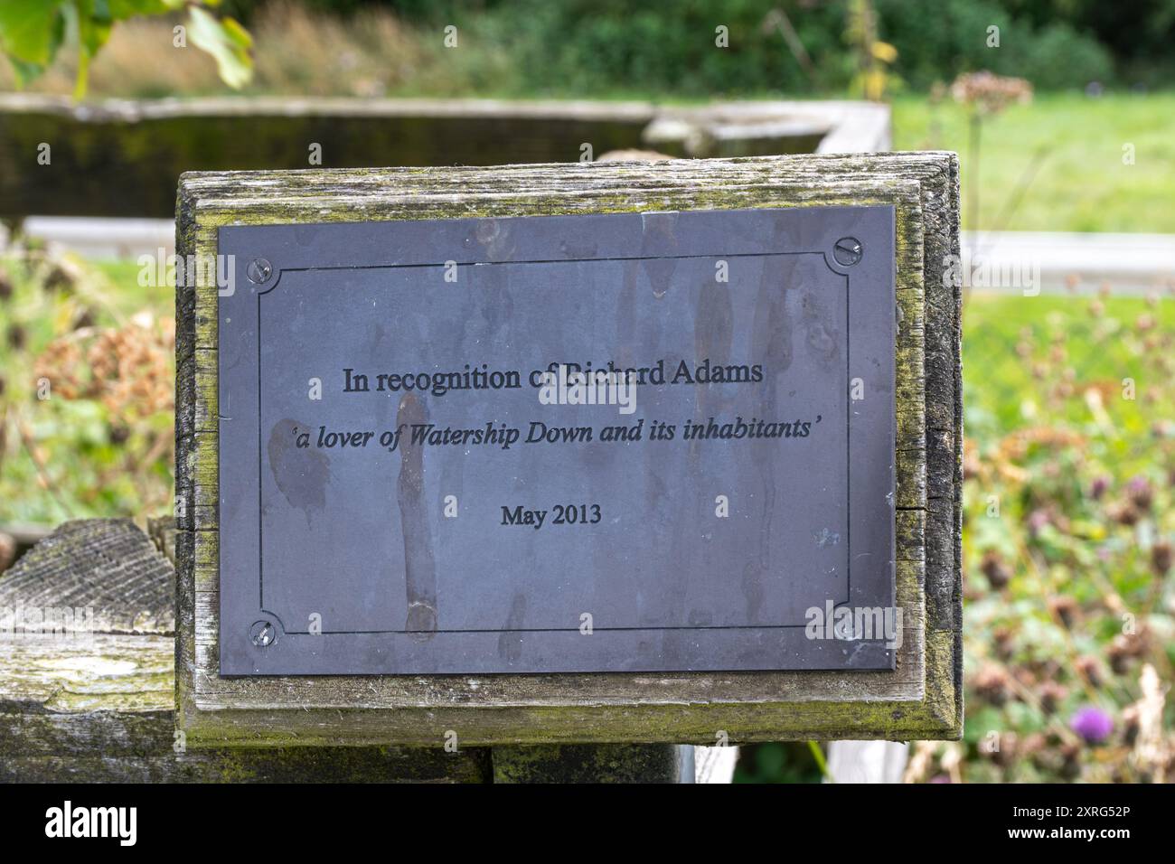 Commemorative hazel tree and plaque on Watership Down remembering ...