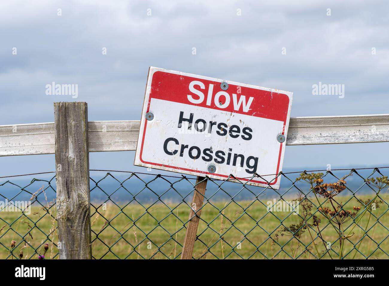 Safety around horses hi-res stock photography and images - Alamy