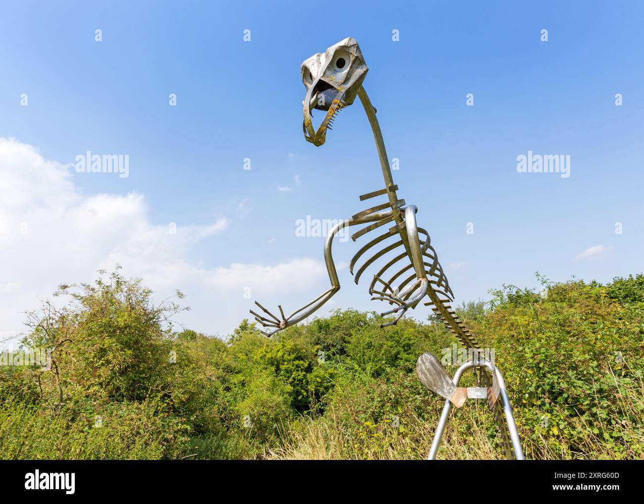 Iguanodon skeleton, dinosaur sculpture Stock Photo - Alamy