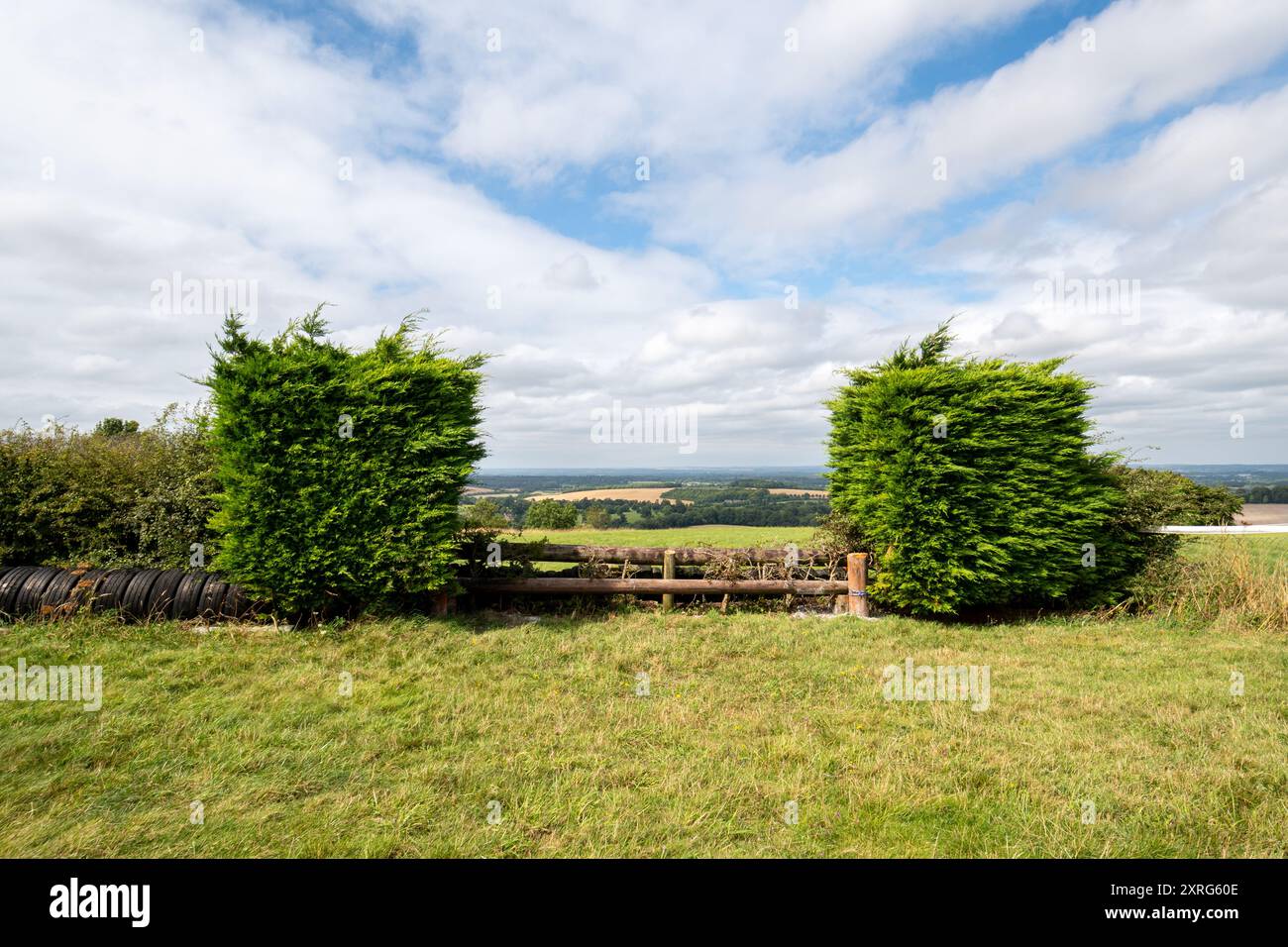 Horse riding gallops on ridge at the top of Watership Down, North ...