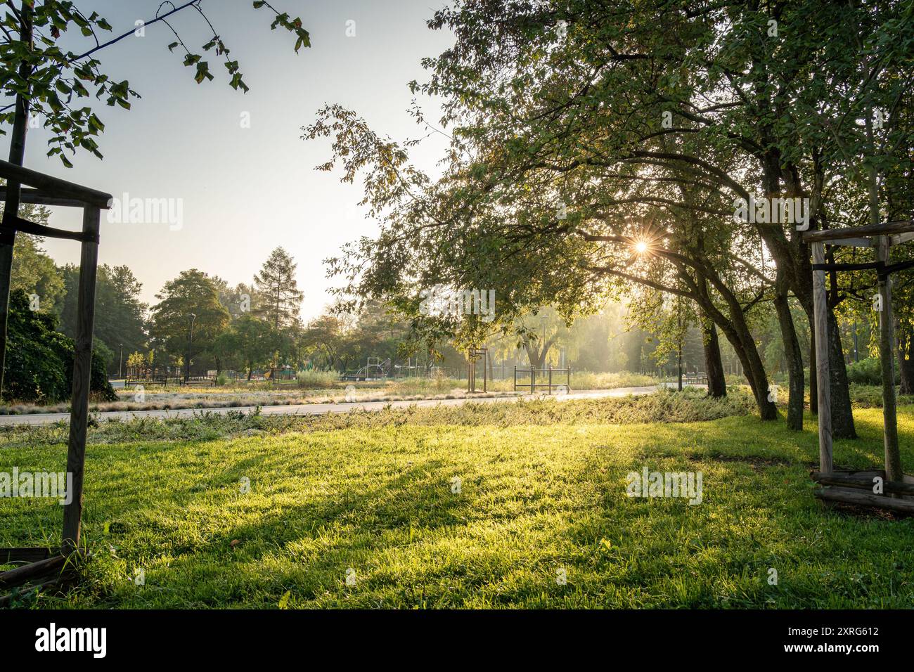 Early morning sunlight filtering through trees in a public park with ...