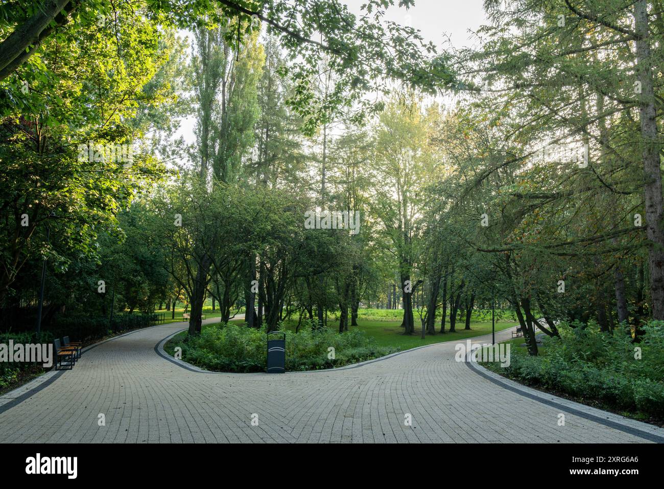 Early morning tranquility in a public park with winding pathways ...