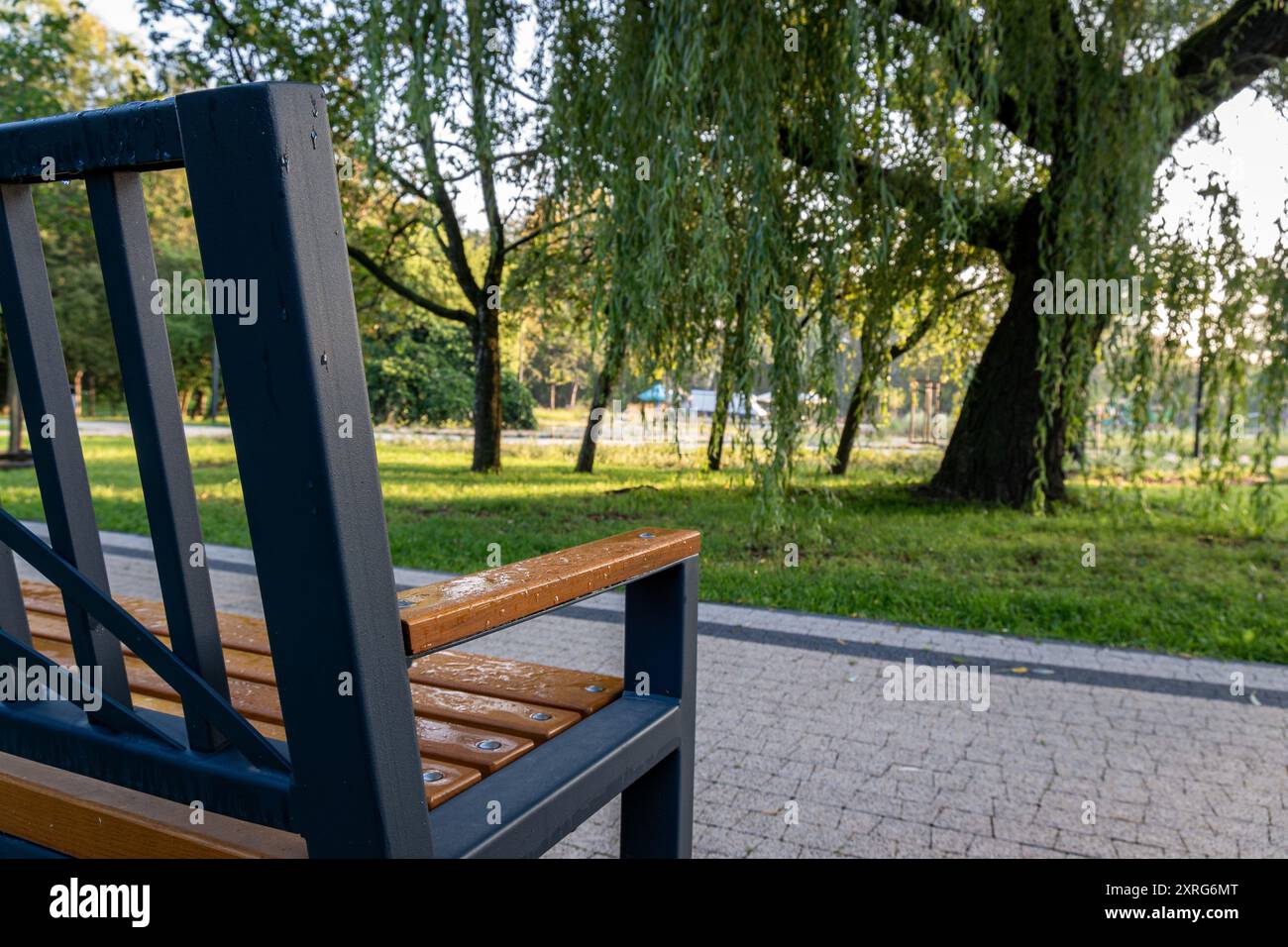 Early morning in a public park with a bench overlooking greenery Stock ...