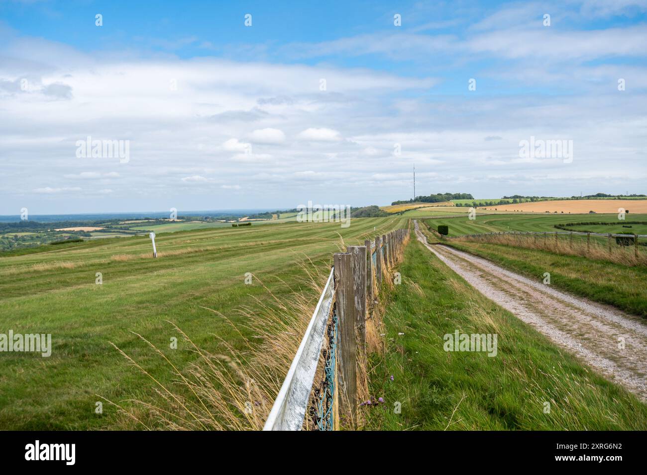 Horse riding gallops on ridge at the top of Watership Down, North ...