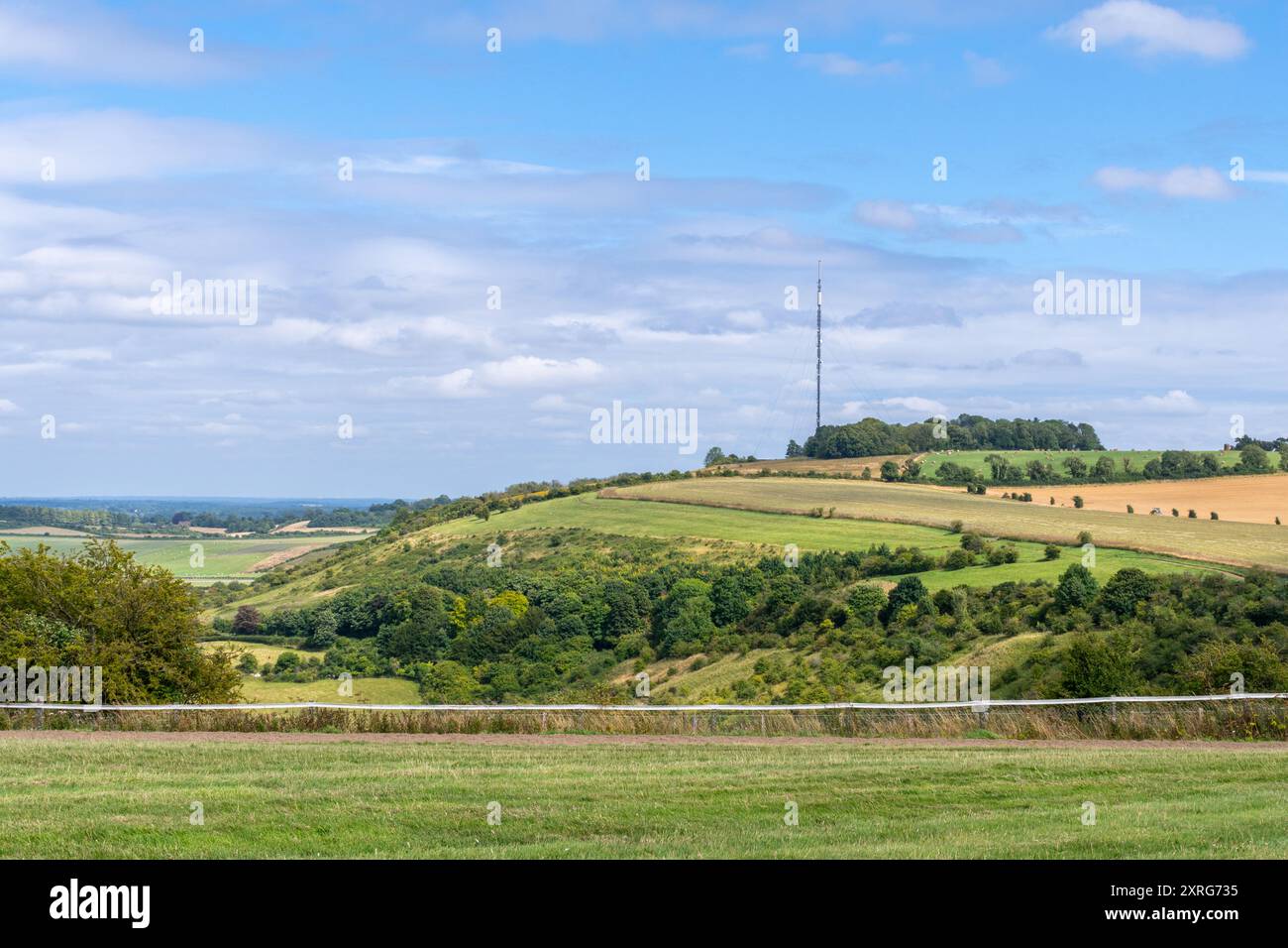 Top down view horse hi-res stock photography and images - Alamy