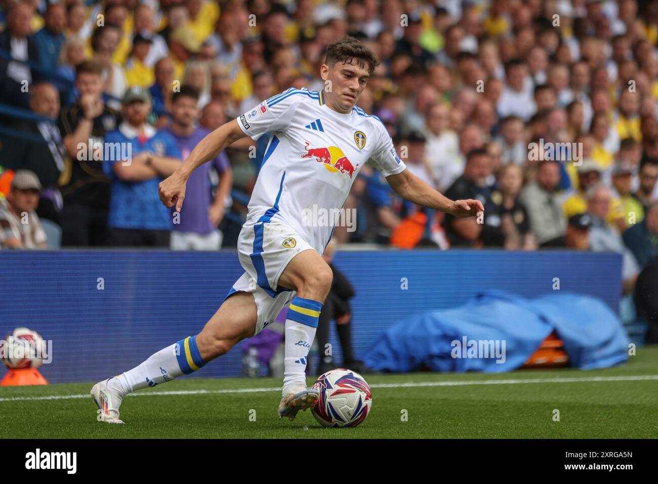 Dan james leeds 2024 hi-res stock photography and images - Alamy