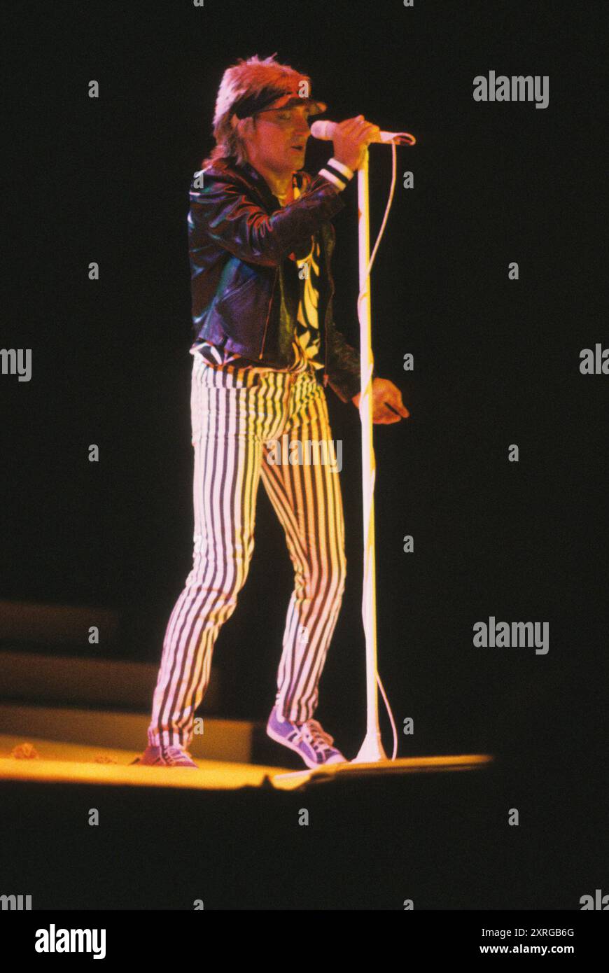 Rod Stewart singer England 1980 under concert at Stockholm *** Local ...