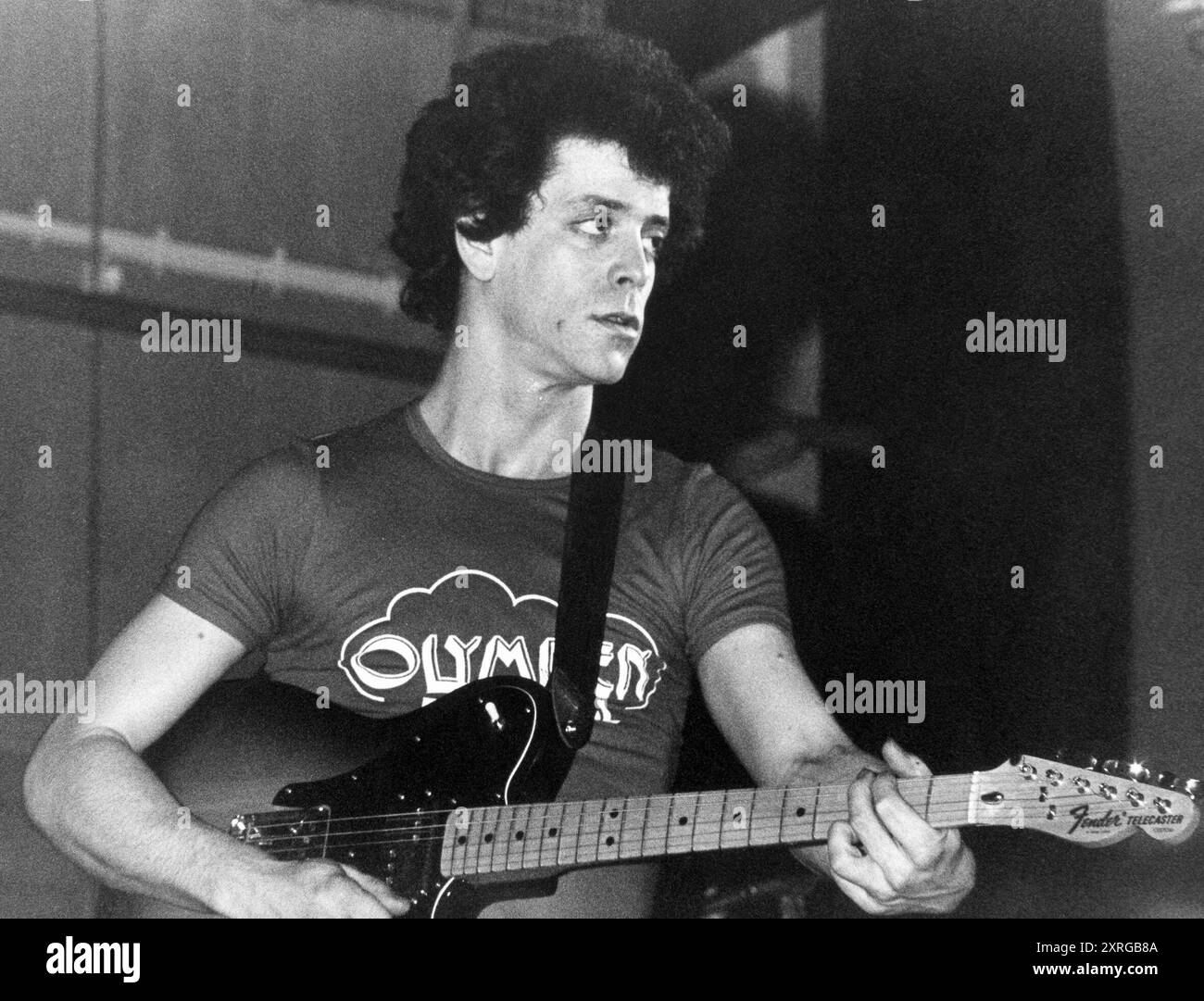 Lou Reed was an American musician and songwriter at stage during ...
