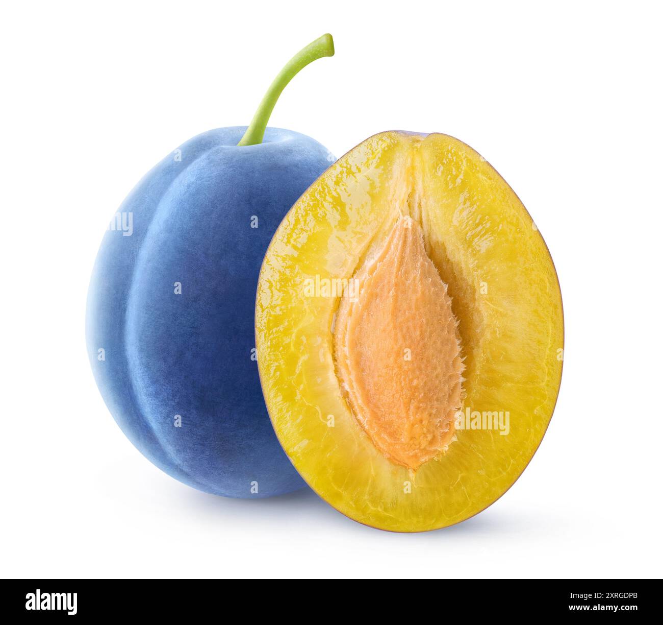 Whole and halved blue plums with a seed isolated on white background ...