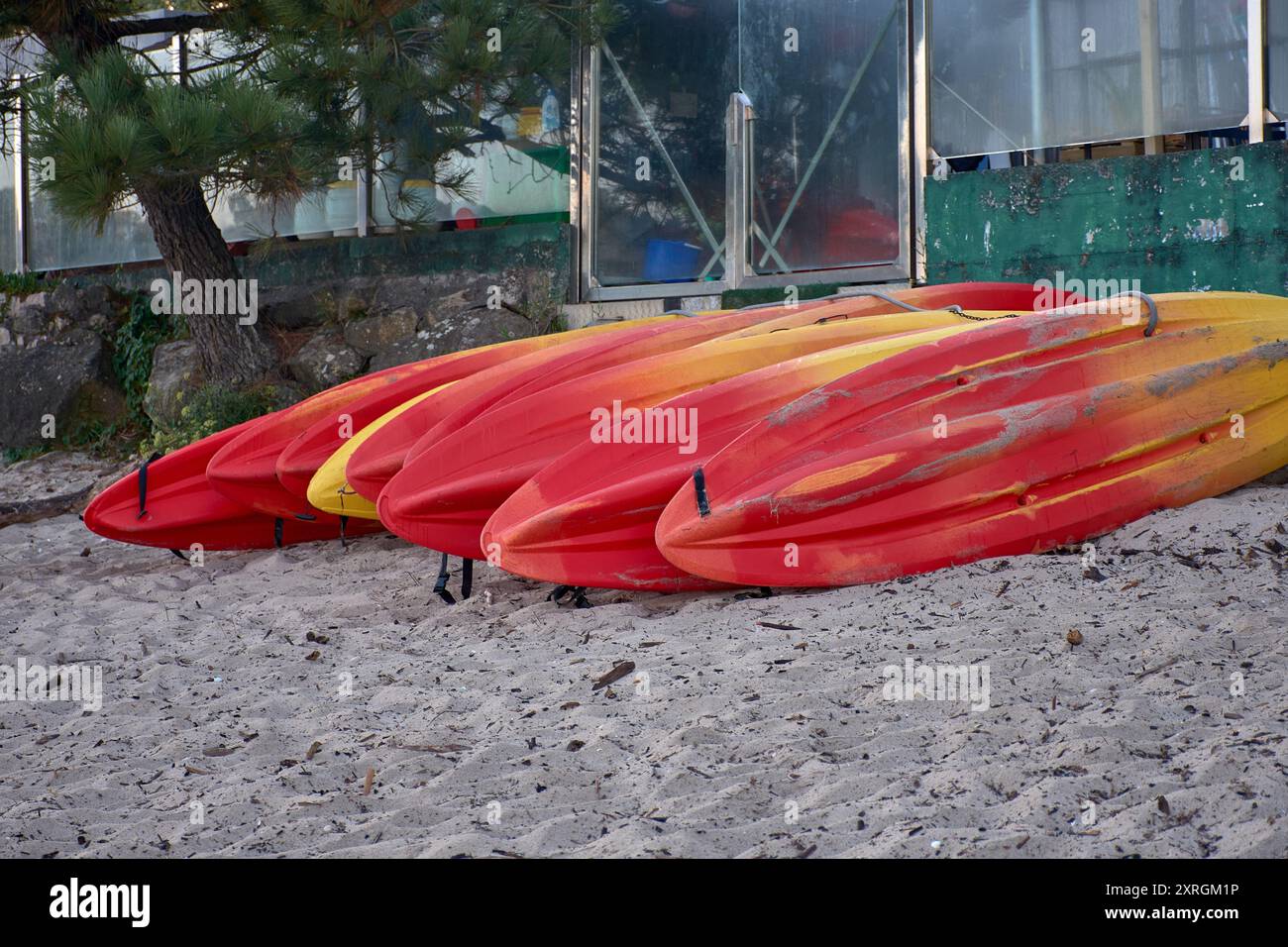 row of yellow and red kayaks neatly lined up on the beach, ready for ...