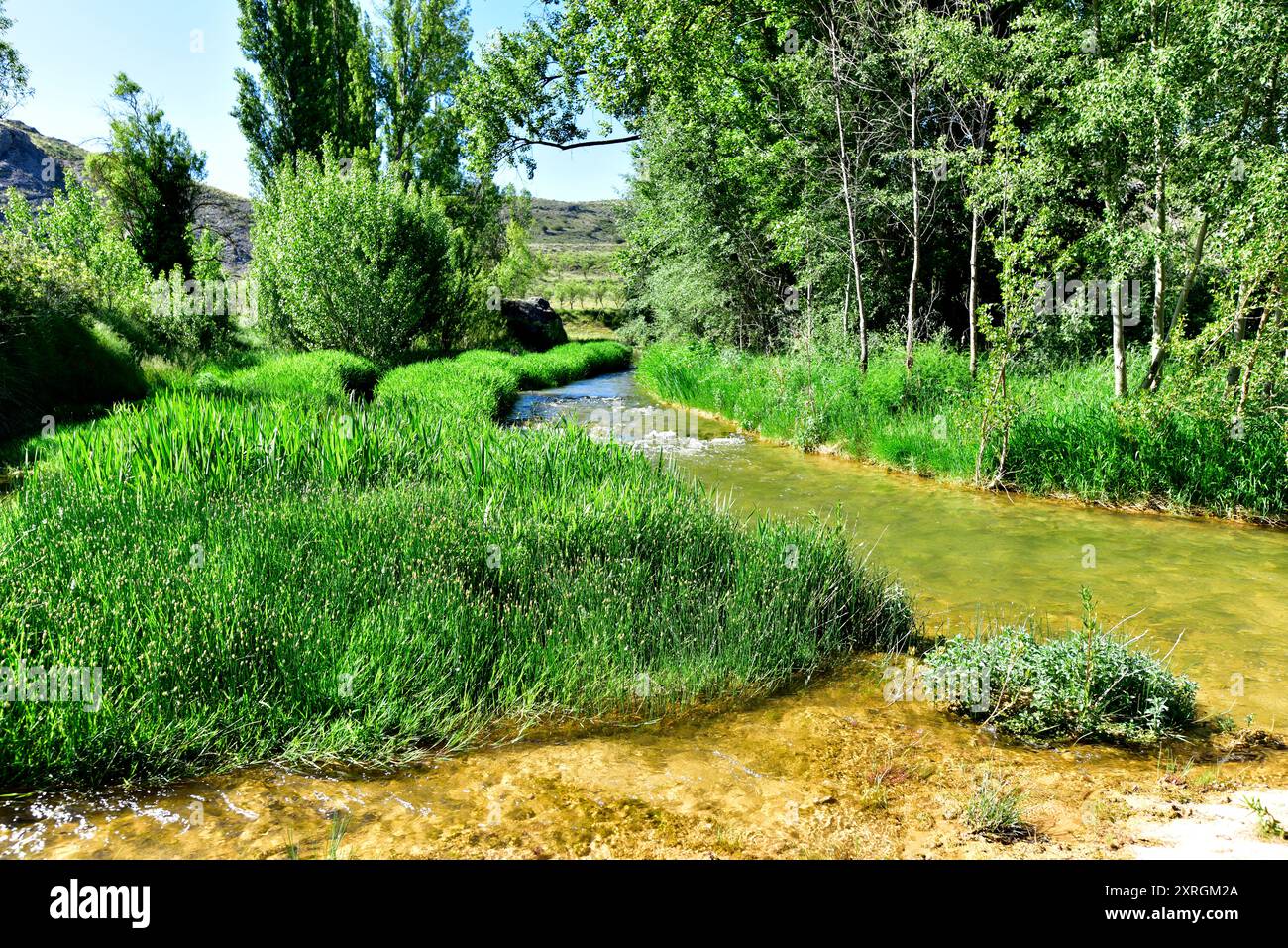 Tributary of ucero river hi-res stock photography and images - Alamy