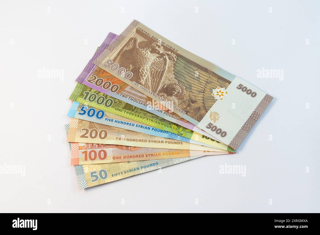 Syrian Currency Notes Reverse Side Isolated on White Background Stock ...
