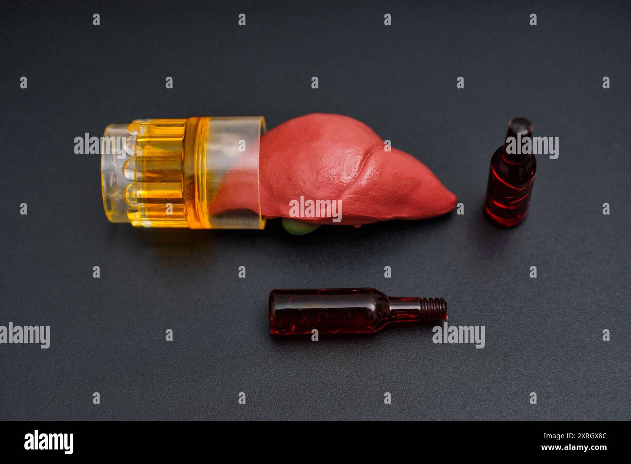 Artistic arrangement of a liver model with beer and bottles ...