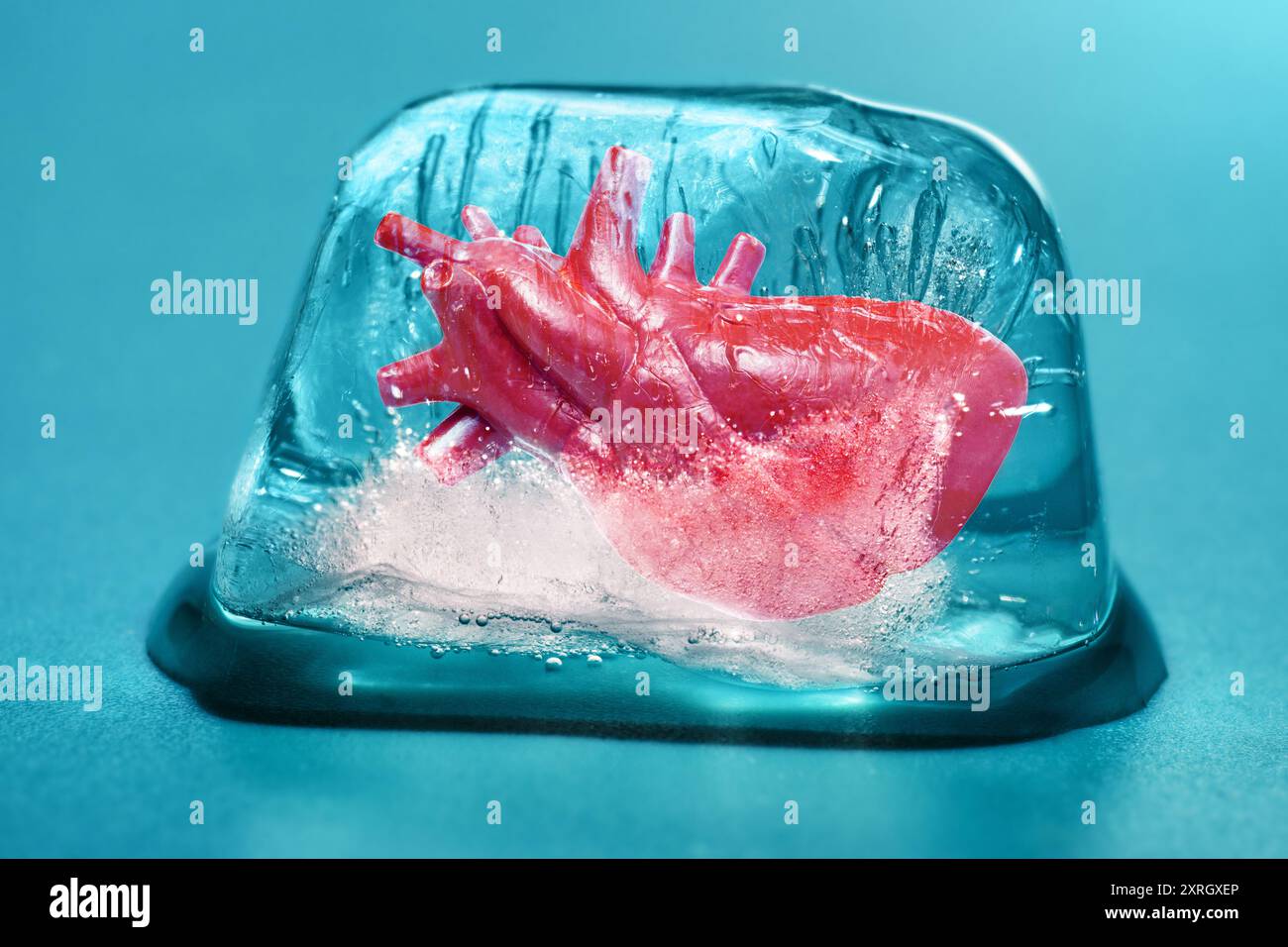 Human heart model inside a pristine ice cube, highlighting the use of ...