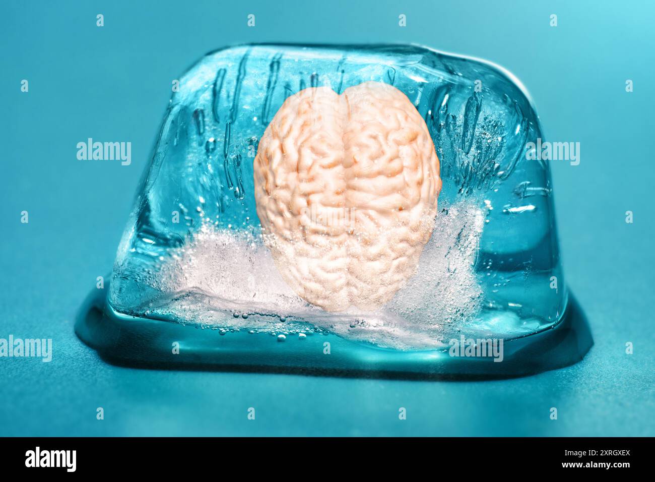 Understanding evolution hi-res stock photography and images - Alamy