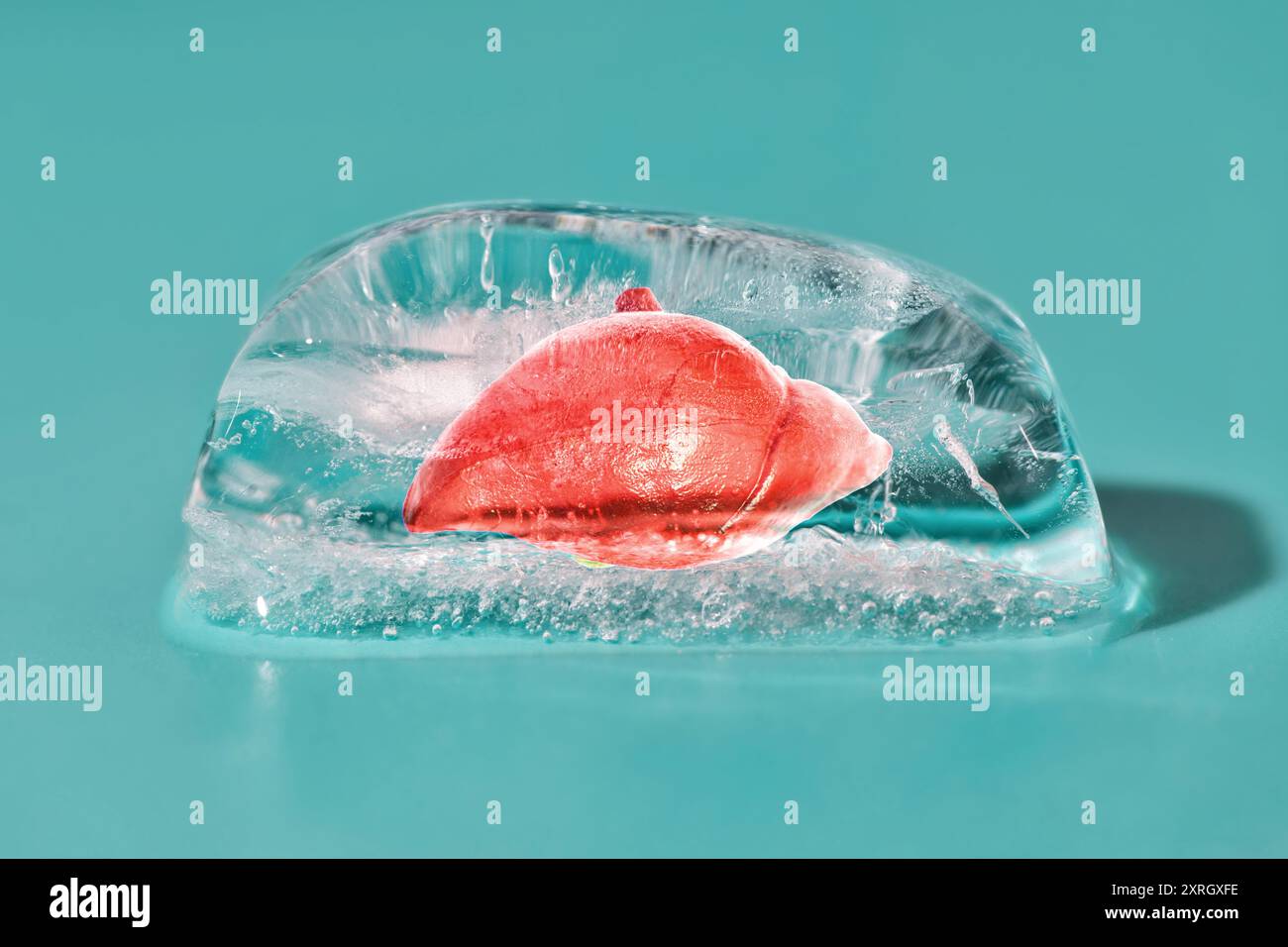 Realistic liver model displayed inside transparent ice, showcasing ...