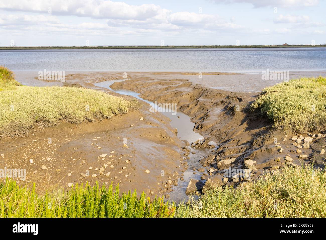Mudflats portugal hi-res stock photography and images - Alamy