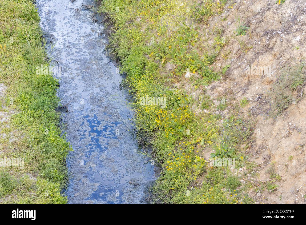 Contaminated industrial water flowing through a small canal, polluting ...