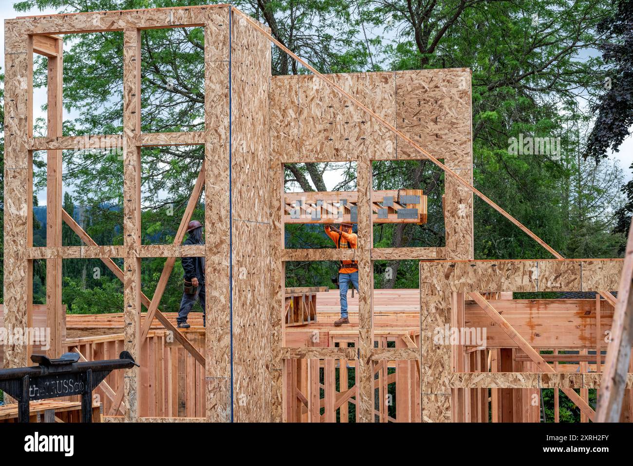 BELLEVUE, WA – JUN 27, 2024: construction crew laborers helping guide ...