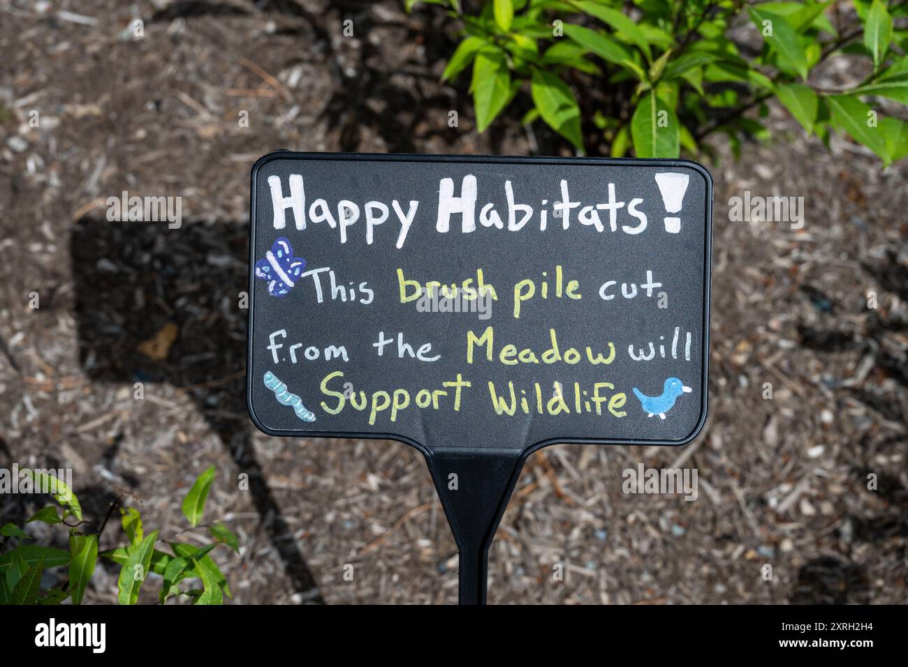 BELLEVUE, WA – JUL 2, 2024: Bellevue Botanical Garden educational sign ...