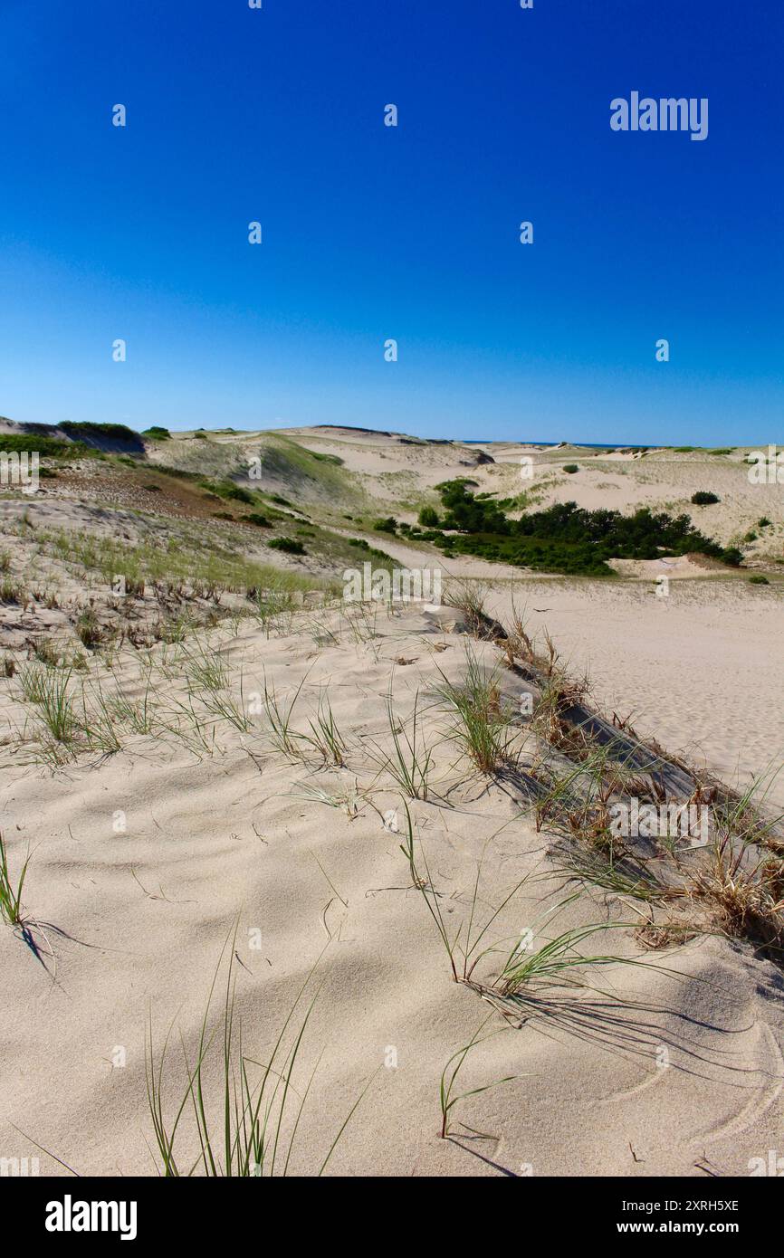 Serene Sand dunes and blue sky on the beach in Cape Cod Stock Photo - Alamy