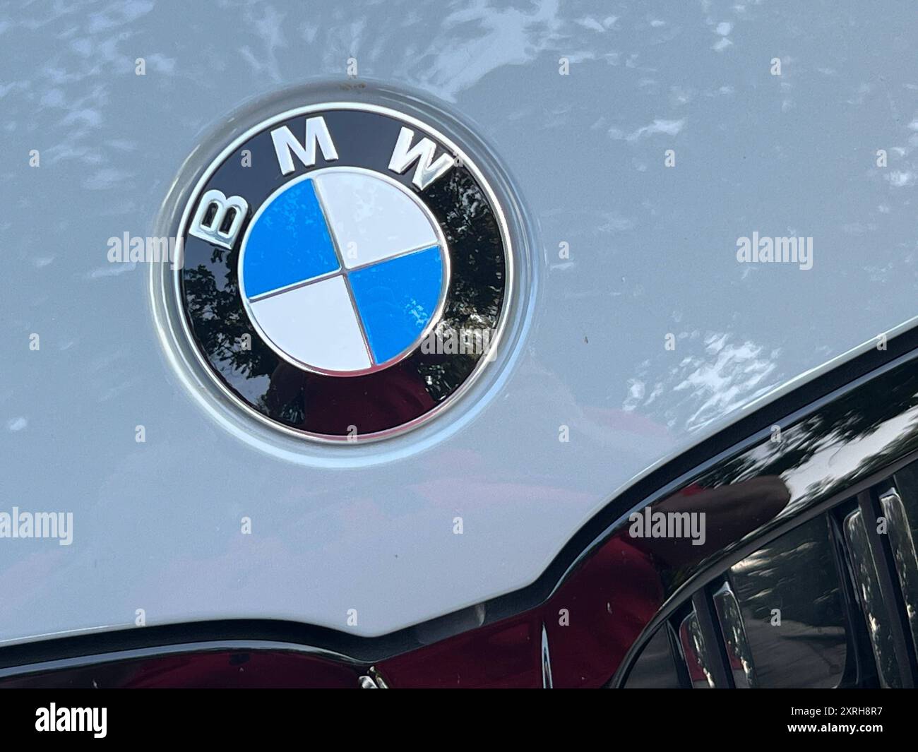 Bmw Emblem Motorhaube