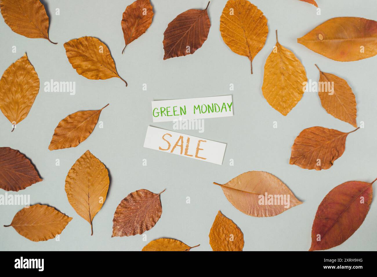 A collection of autumn leaves with the words Green Monday Sale written ...