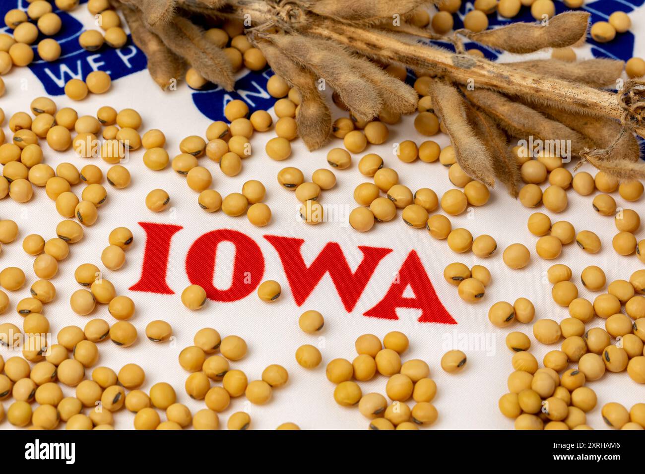 Flag of Iowa covered in soybeans. Farming, agriculture, soy and ...