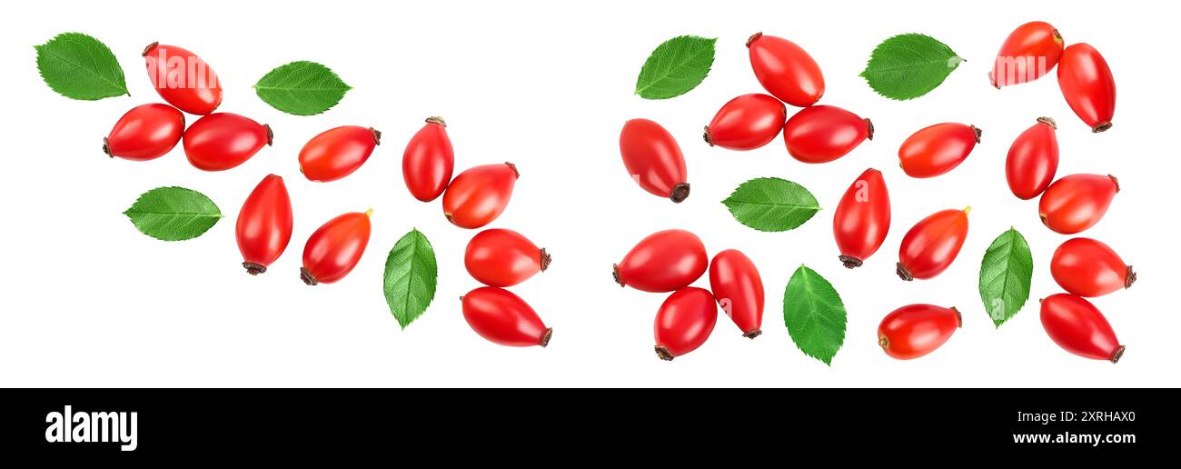 Rose hip isolated on a white background with full depth of field. Top ...