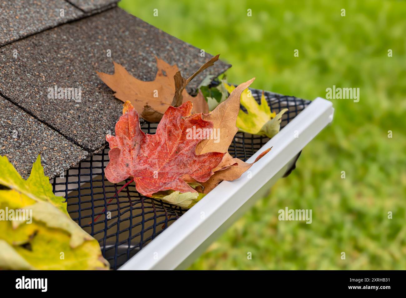 Closeup of house rain gutter with leaf guard screen and leaves. Home ...