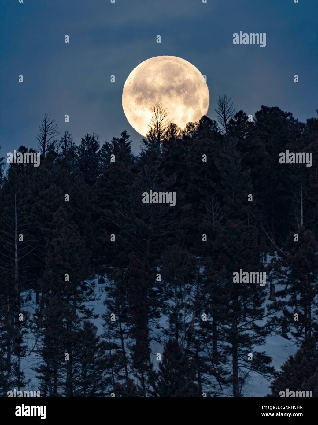 Full moon over yellowstone hi-res stock photography and images - Alamy