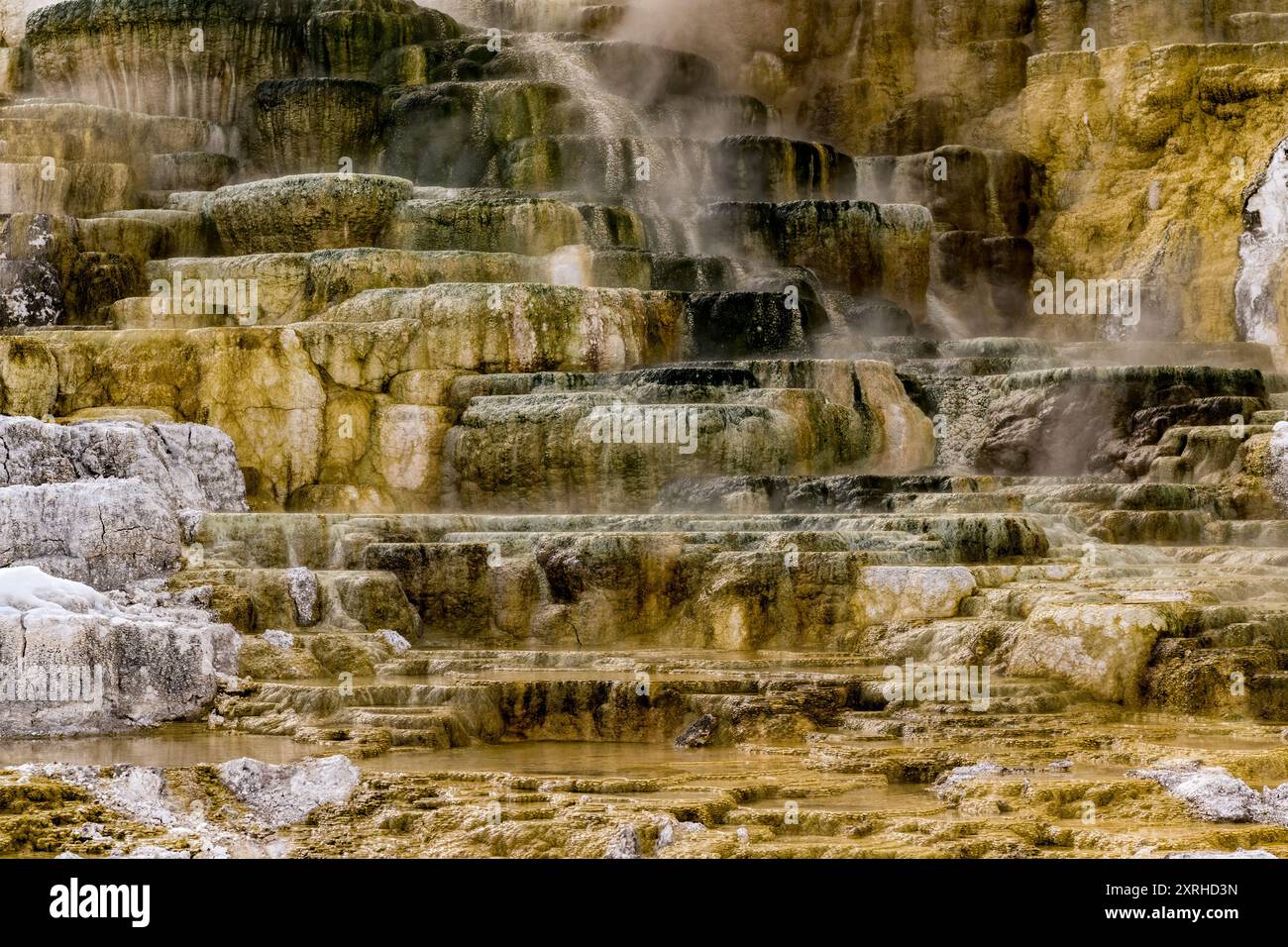 Travertine Terraces, Mammoth Hot Springs, Yellowstone National Park ...
