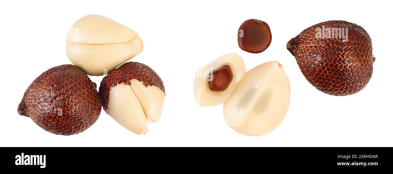 Salak snake fruit isolated on white background with full depth of field ...
