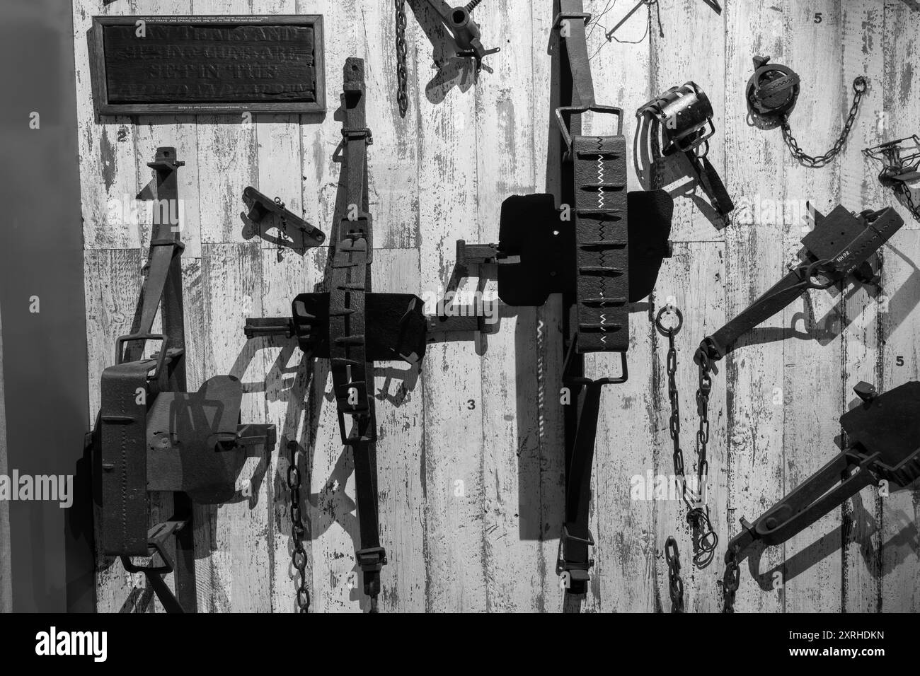 Rural vermin Black and White Stock Photos & Images - Alamy