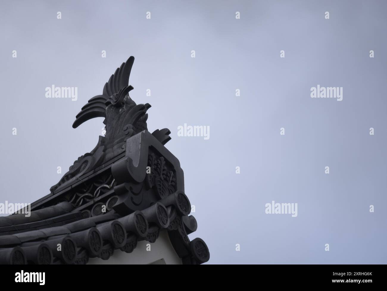 Shachihoko a sea monster in Japanese folklore with the head of a dragon ...