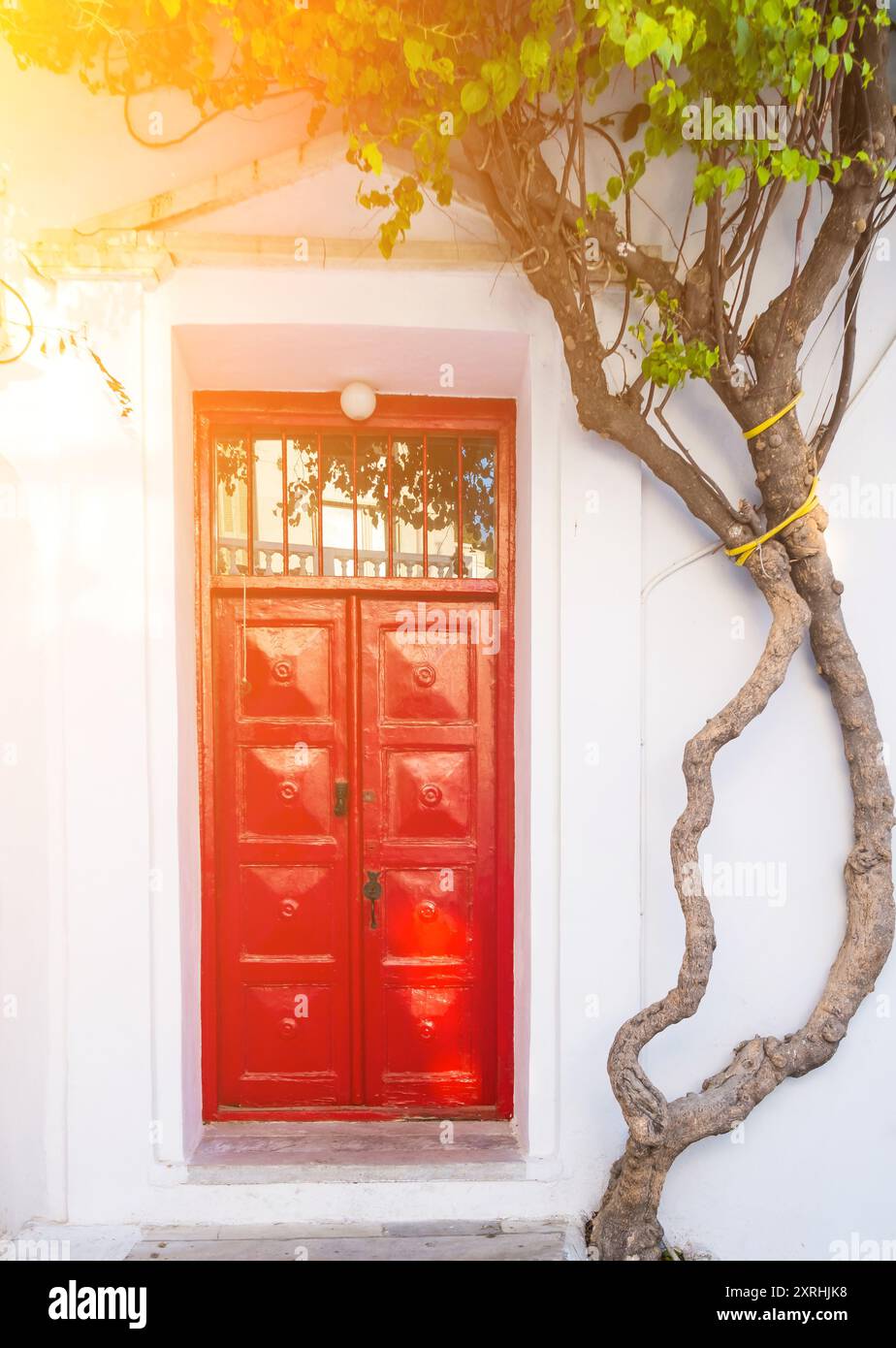 Old modern front entrance door tree hi-res stock photography and images ...